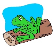 10 Questions To Help You JUMP or Get Off the Log | Business Class Inc